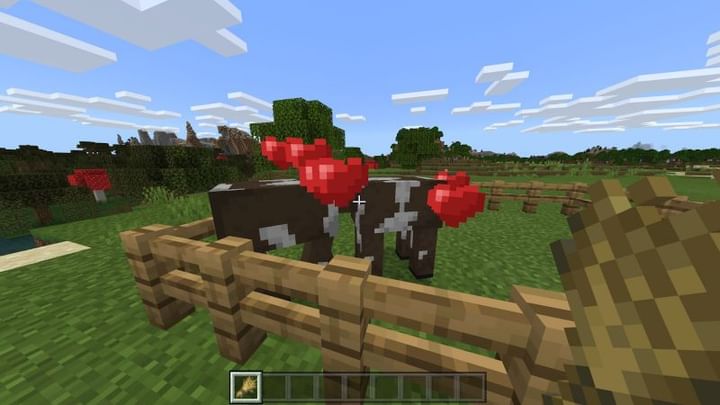 How to Make a Farm in Minecraft: Animal farm | Crop Farm | Iron Farm