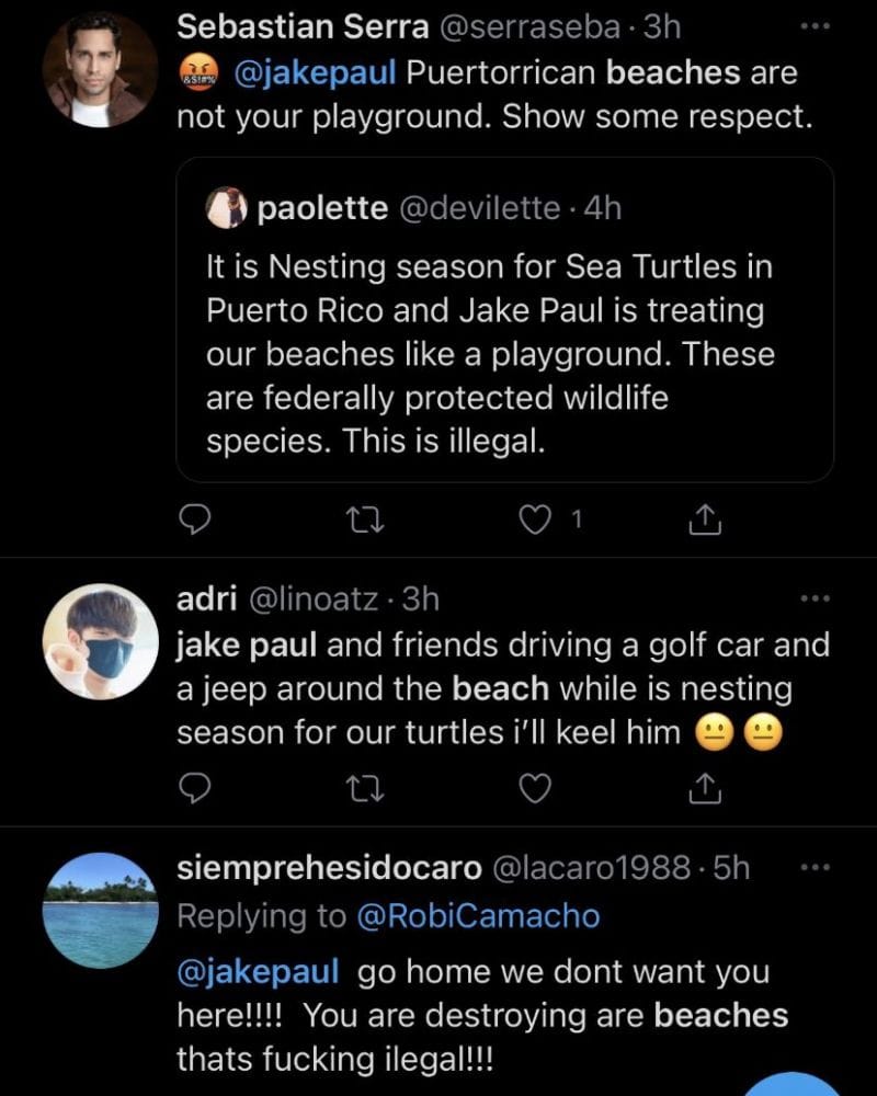 Jake Paul allegedly drives golf cart through turtle nesting area in ...