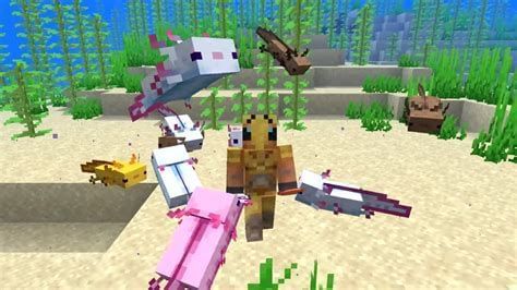 5 things players need to know about axolotls in Minecraft