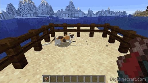 Salmon Minecraft: Spawning, Behavior, Trading and More