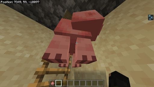 How to Make a Ladder in Minecraft and its Uses