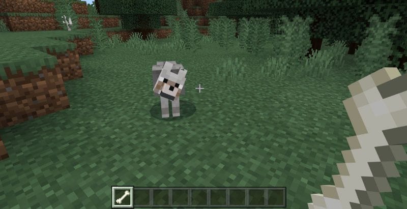 How to Tame a Dog in Minecraft