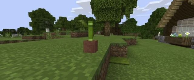 5 best uses of bamboo in Minecraft