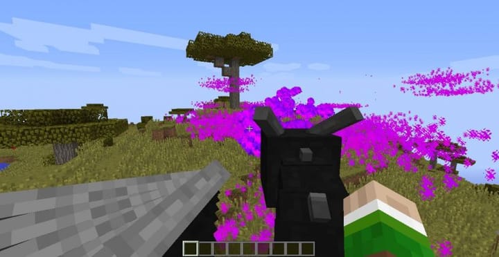 What does Dragon's Breath do in Minecraft?