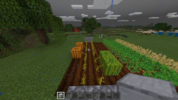How to Make a Farm in Minecraft: Animal farm | Crop Farm | Iron Farm