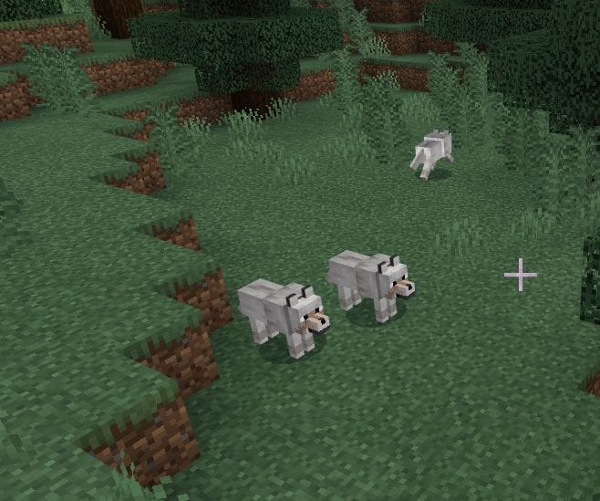 How to Tame a Dog in Minecraft