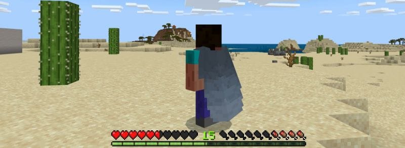 How to Use Elytra in Minecraft in 4 Easy Steps