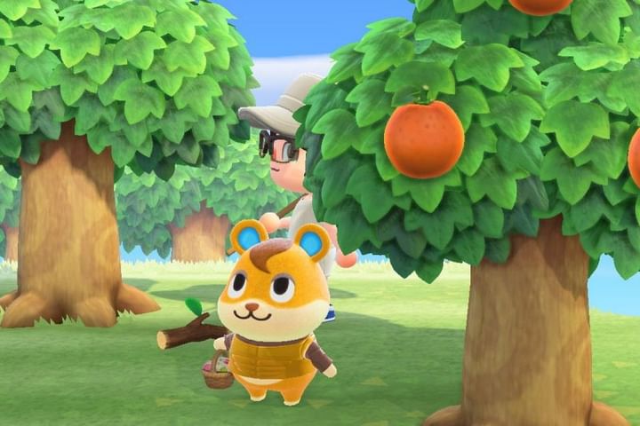 Hamlet in Animal Crossing: Appearance, Behavior, House
