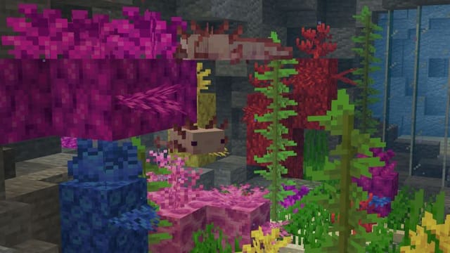 What items do you need to breed axolotls in Minecraft?