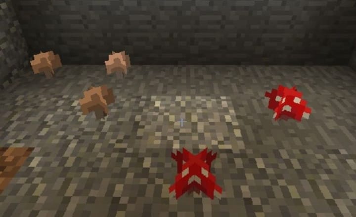 Fungus in Minecraft: Everything you need to know