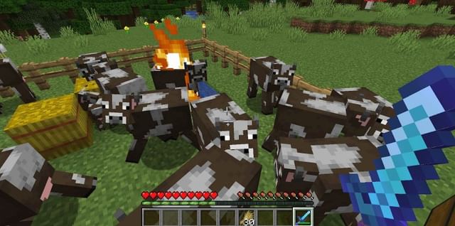 How to build a cow farm in Minecraft easily