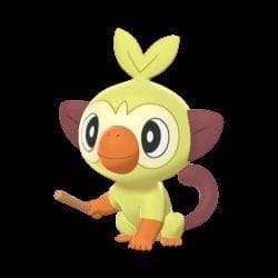 Grookey Pokémon: How to Catch, Moves, Pokedex & More