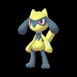 Riolu Pokémon: How to catch, Moves, Pokedex & More
