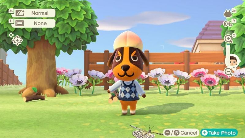 Who is Butch, and what is his role in Animal Crossing: New Horizons?