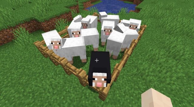 Top 5 meat farms in Minecraft