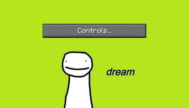 Dream's in-game Minecraft settings revealed