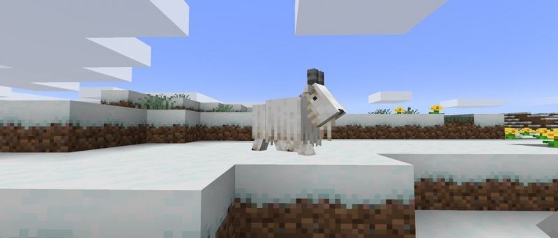 How to tame a goat in Minecraft