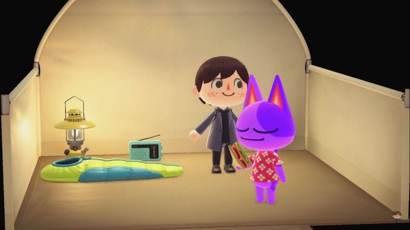 Animal Crossing: Coffee, broom, and popsicles — villager items still ...