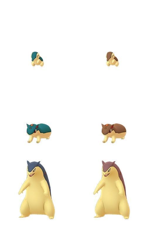 Typhlosion Pokémon: How to Catch, Moves, Pokedex & More