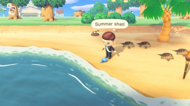 The rarest seashells in Animal Crossing: New Horizons and their prices