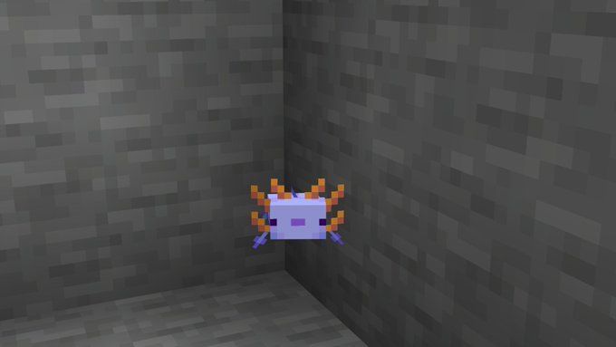 What is the rarest Axolotl in Minecraft?