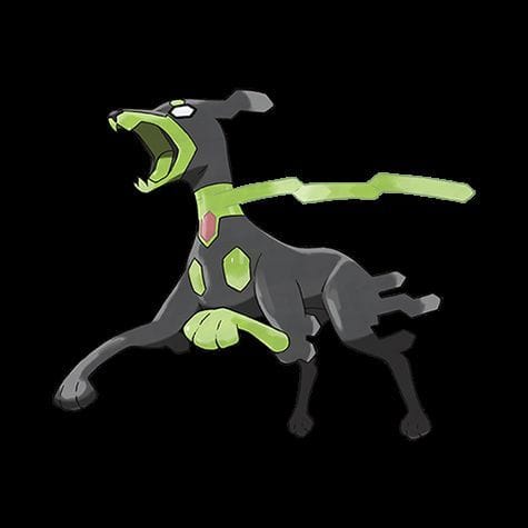 Zygarde Pokémon: How to Catch, Moves, Pokedex & More