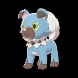 Rockruff Pokémon: How to Catch, Moves, Evolutions & More