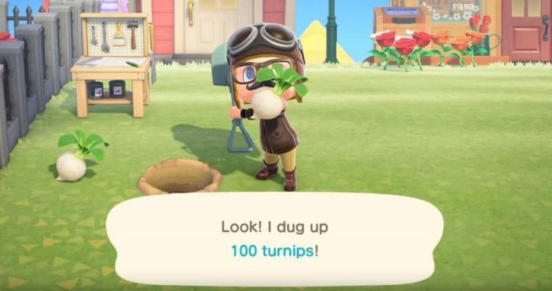 Animal Crossing: New Horizons turnip calculator