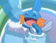 Mudkip Pokémon: How to catch, Moves, Evolution & More
