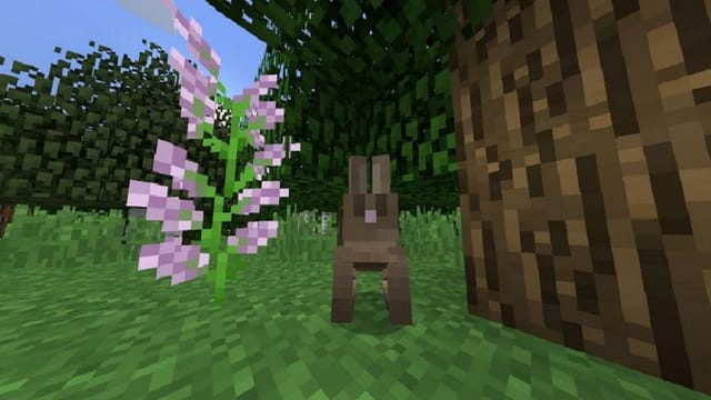 Where to find leather in Minecraft Java Edition?