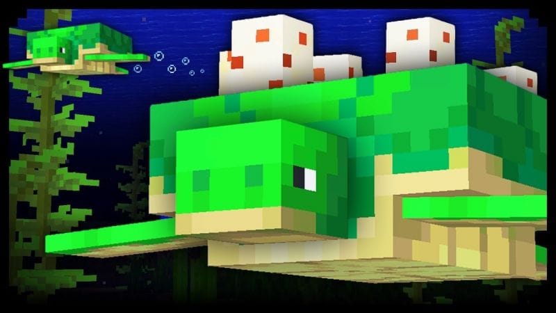 What do turtles eat in Minecraft?