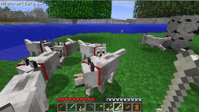 Top 5 pet mobs in Minecraft