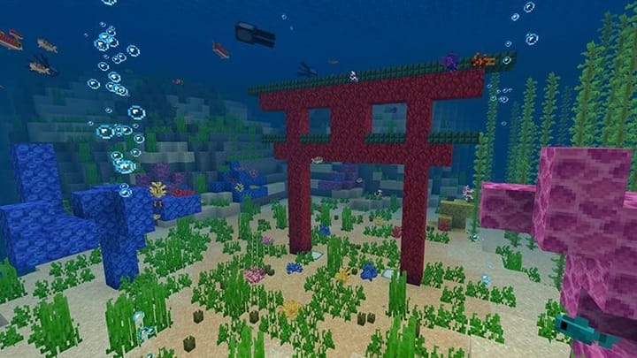 How to collect coral in Minecraft