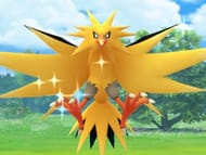 Zapdos Pokémon: How to Catch, Moves, Pokedex & More