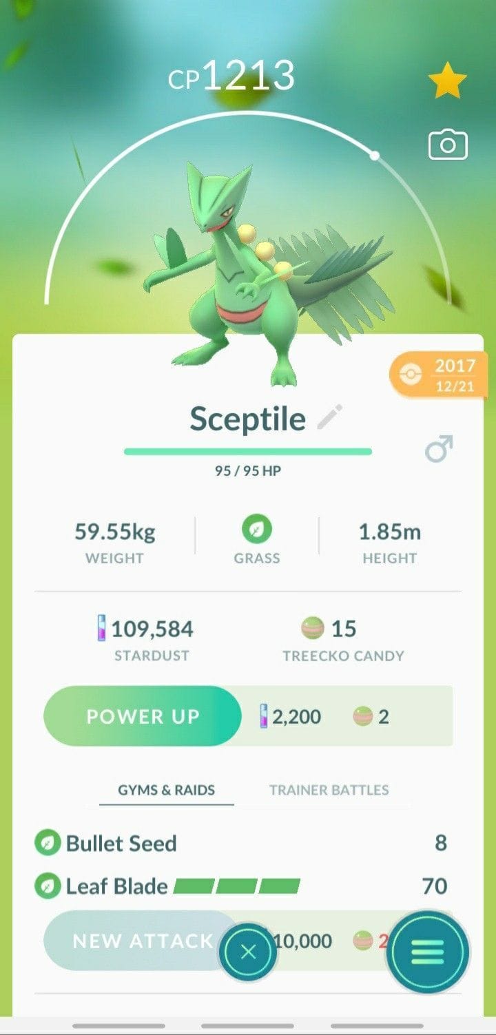 Sceptile Pokémon: How to Catch, Moves, Pokedex & More
