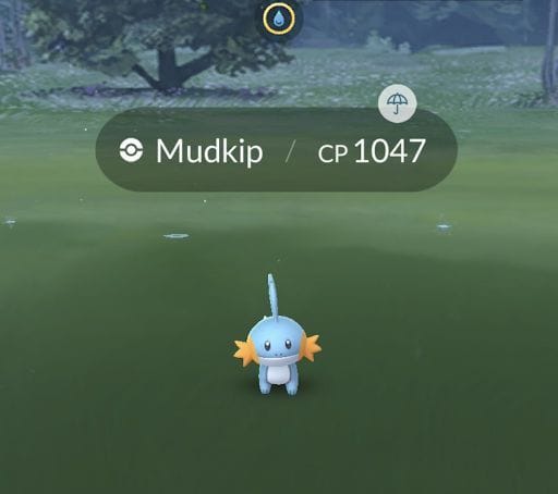 Mudkip Pokémon: How to catch, Moves, Evolution & More