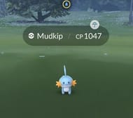Mudkip Pokémon: How to catch, Moves, Evolution & More