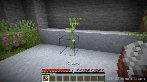 Dripleaf plant in Minecraft 1.17 Caves & Cliffs update: All you need to ...