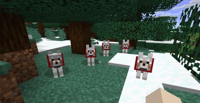 Top 5 tameable animals in Minecraft