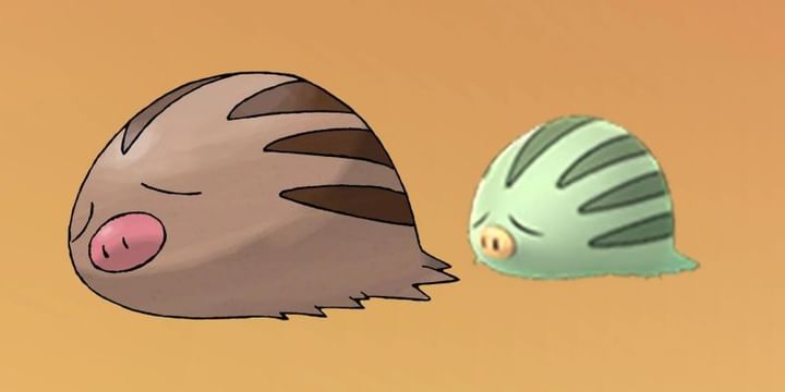 How to catch a shiny Swinub in Pokemon GO