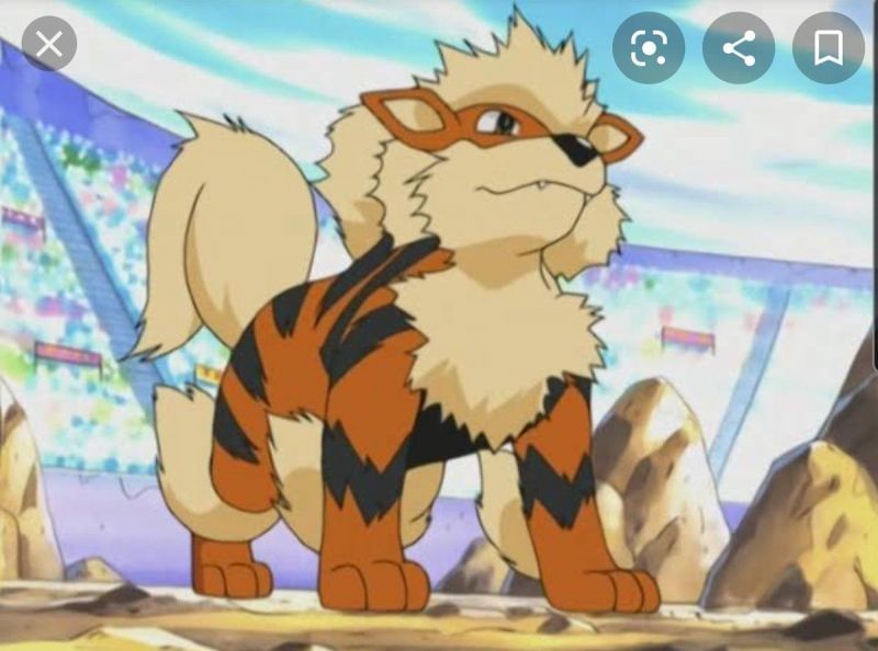 Arcanine Pokémon: How to catch, Moves, Evolution & More