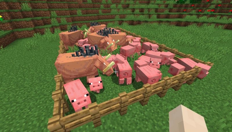 Top 5 meat farms in Minecraft