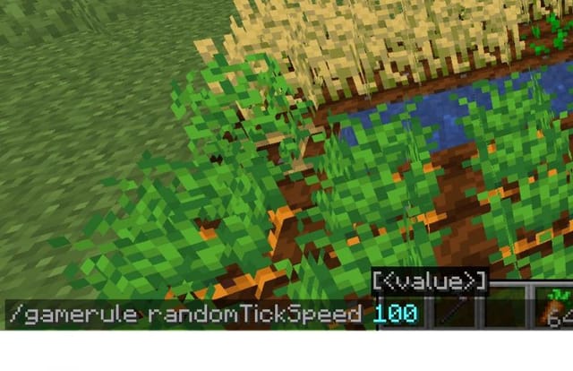 How to grow crops in Minecraft 1.17 version easily