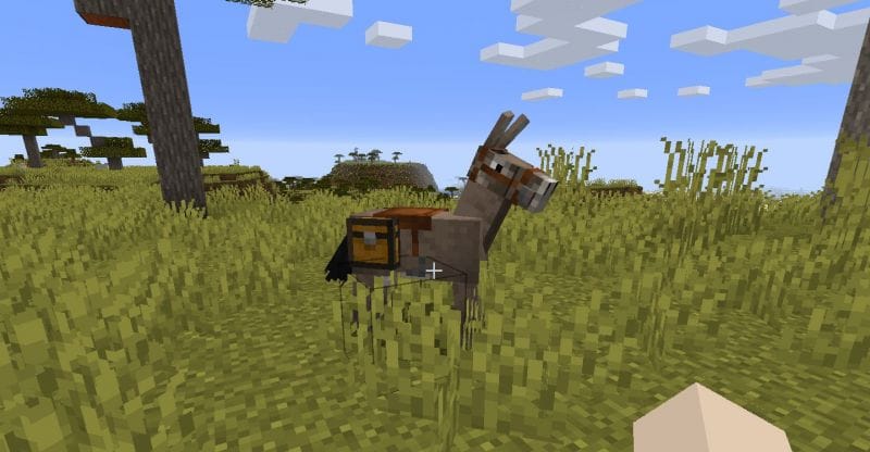 Top 5 tameable animals in Minecraft