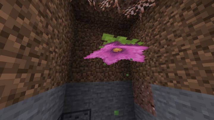 What do spore blossoms do in Minecraft?