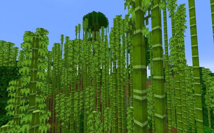 What can players do with bamboo in Minecraft?