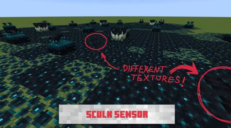 Sculk blocks in Minecraft: Everything players need to know