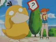 Psyduck Pokémon: How to catch, Moves, Pokedex & More