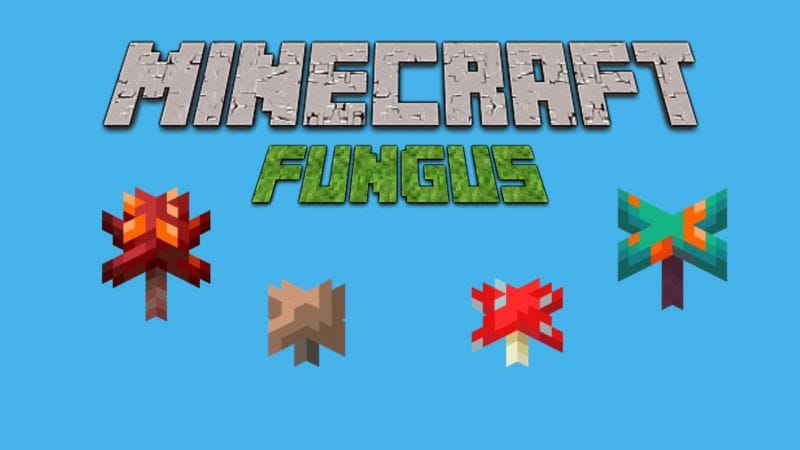 Fungus in Minecraft: Everything you need to know