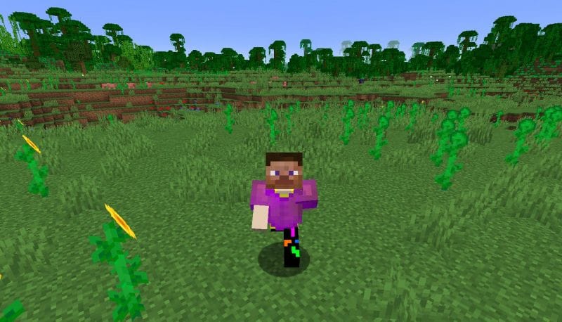 How to get Minecraft heads in survival mode